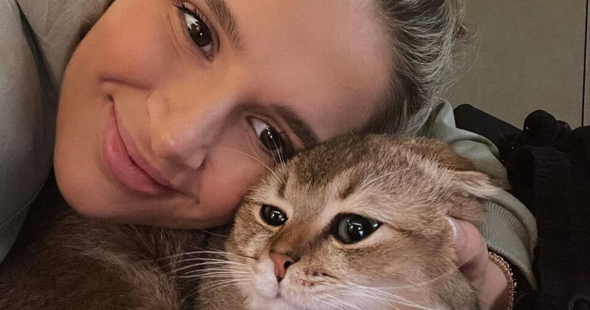 Molly-Mae in tears as beloved cat Eggy gets stuck on…