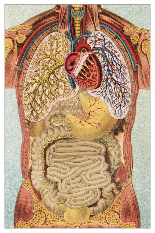 This Pill Sensor Could Track Digestive Conditions In…