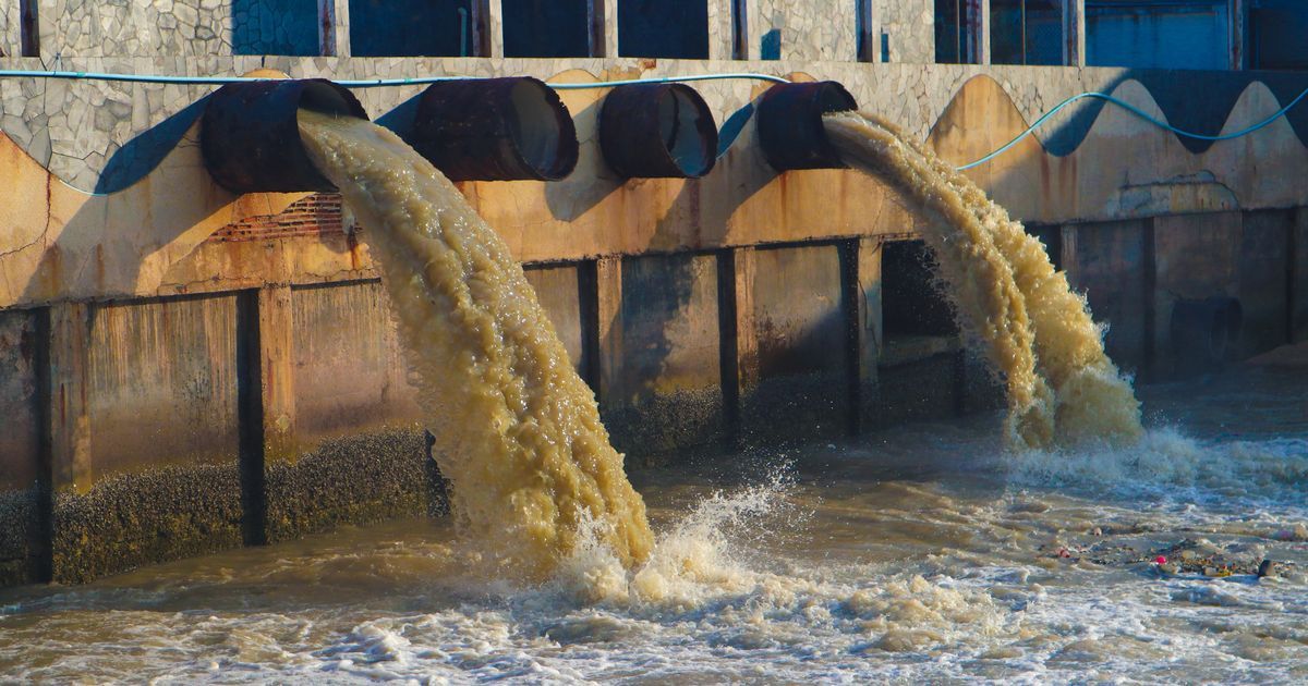 UK's 20 most polluted rivers revealed in Top of the…