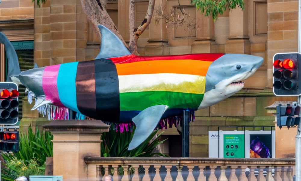 Sydney’s ‘absurd and wonderful’ Progress Shark becomes…