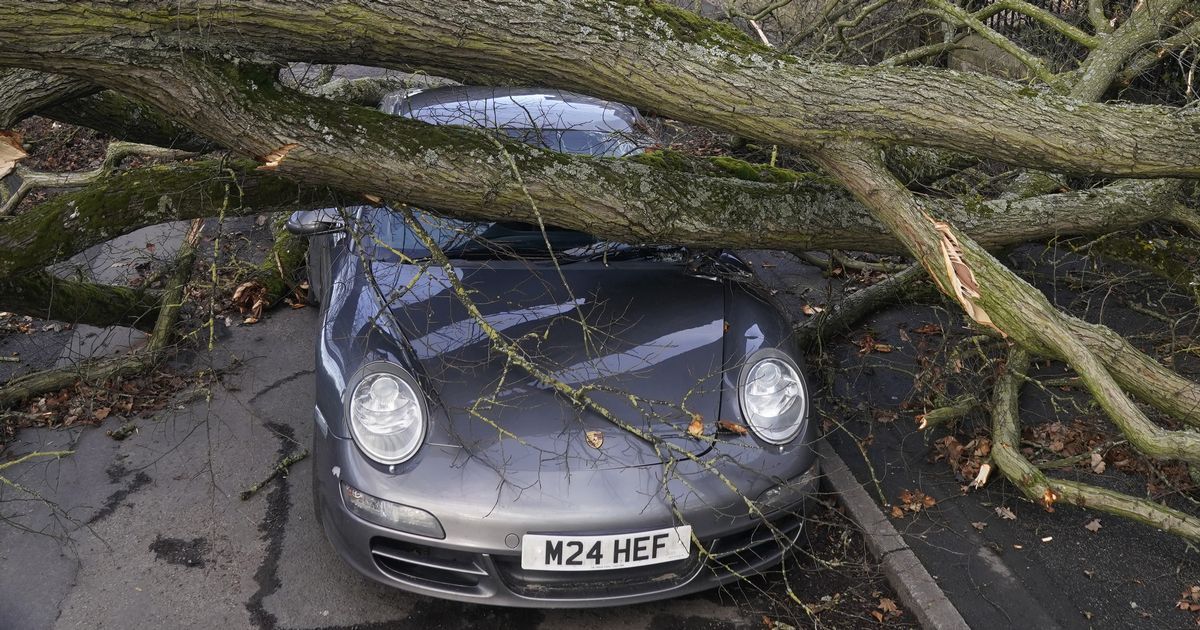 Storm Otto: Porsche hit by tree for the second time in…