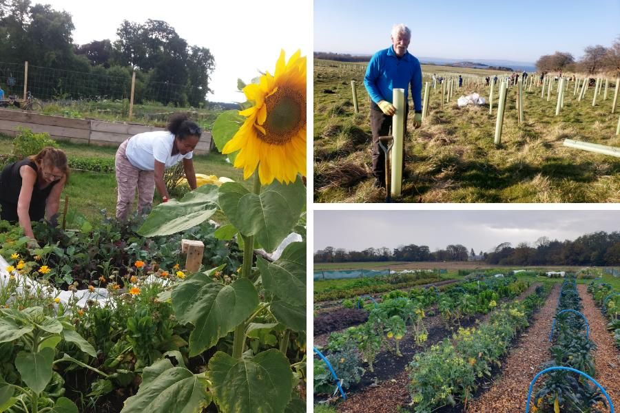 Scotland's 'biggest urban farm' celebrates anniversary…