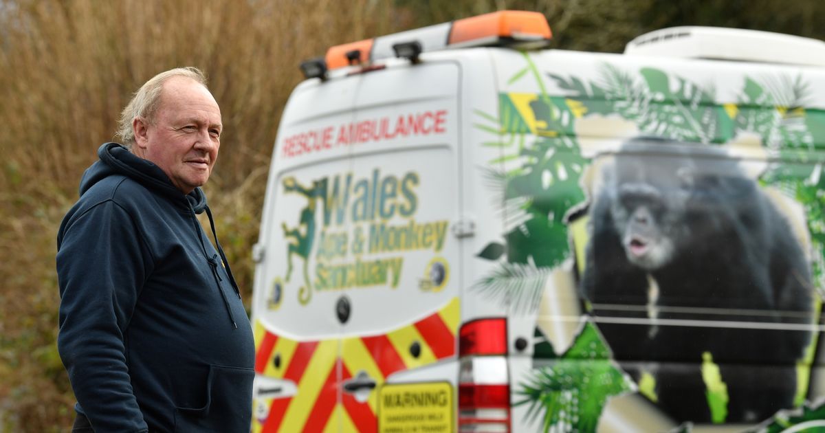 The Welsh animal charity facing a perfect storm of…