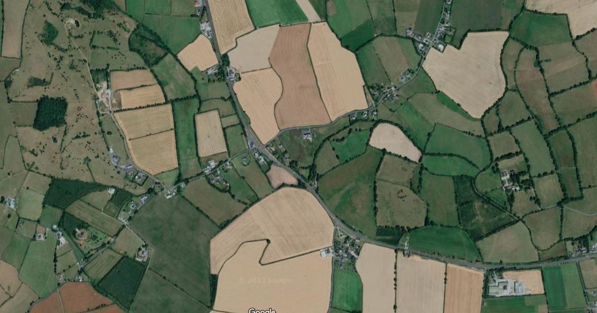 Multiple people injured in horror Carlow crash as air…