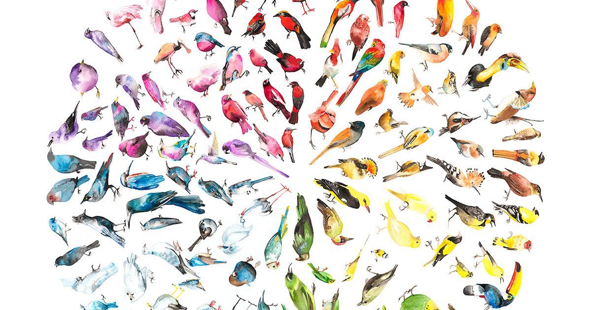 Newcastle to host Vic Reeves exhibition as talented…