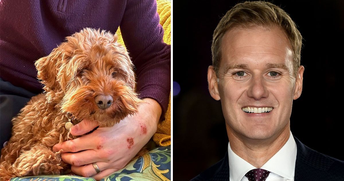 Dan Walker shares health update after horror crash as…