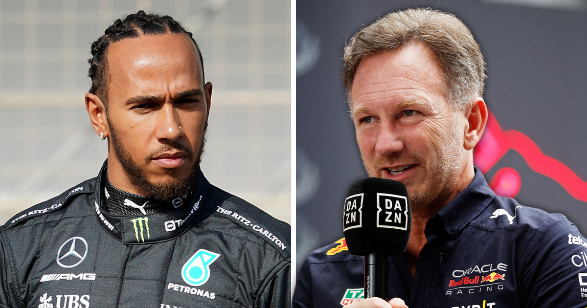Christian Horner says Lewis Hamilton decision would…