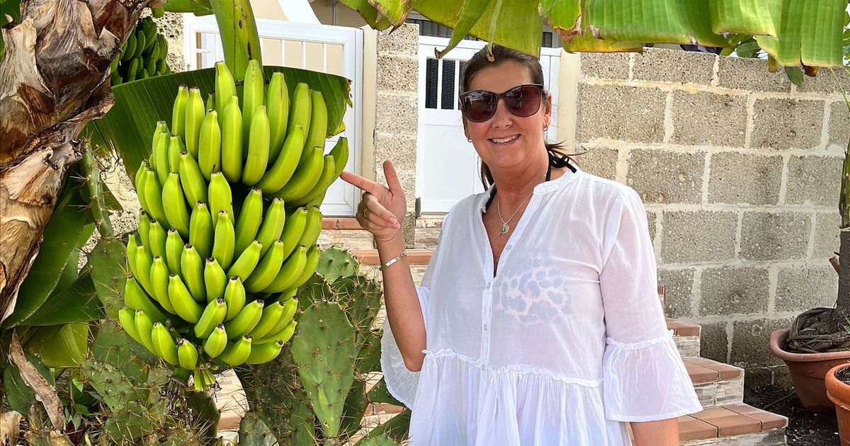 Family of mum killed in holiday hit-and-run furious as…