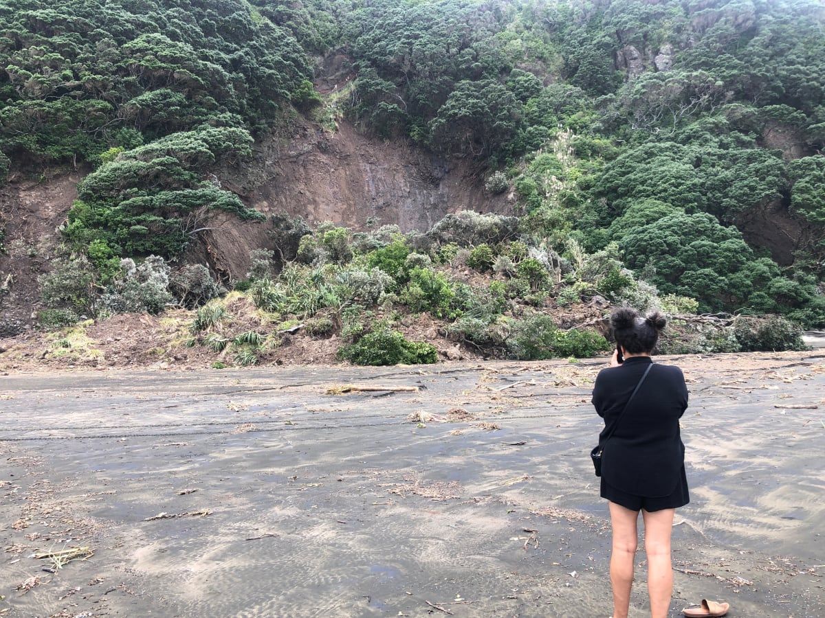 Getting Auckland’s bush tracks back on track