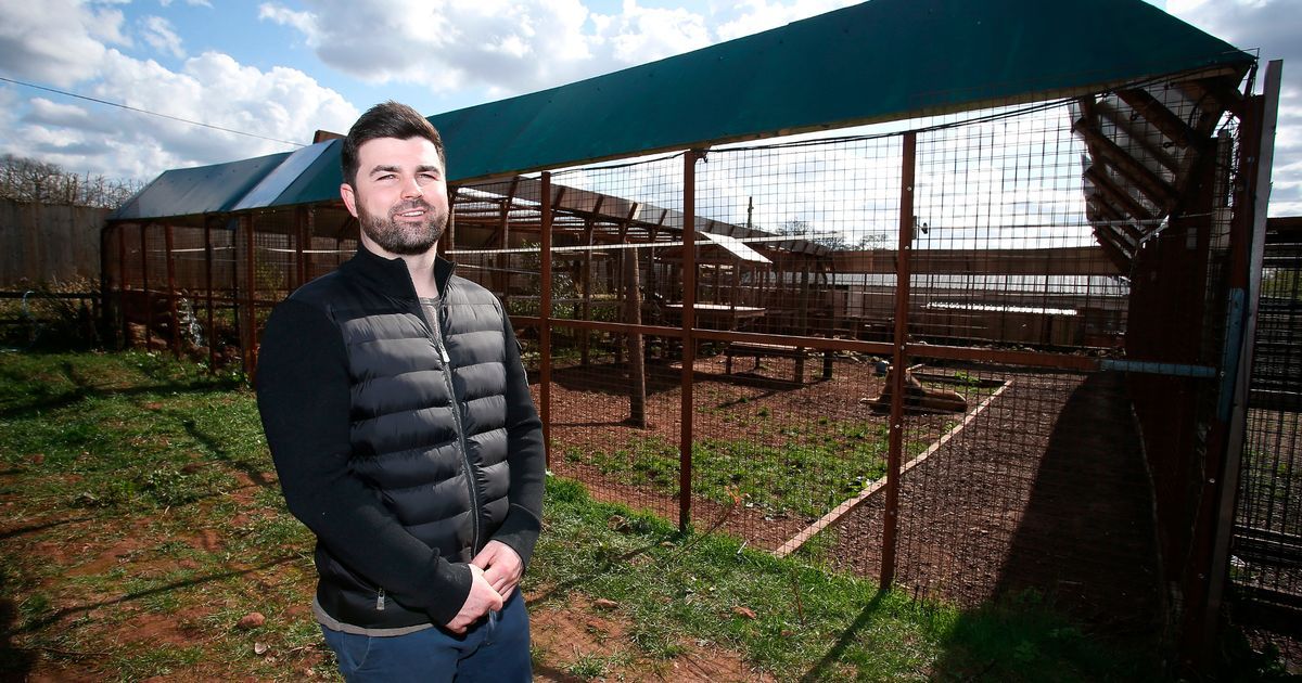 Strelley lion keeper Reece Oliver hits back at critics…