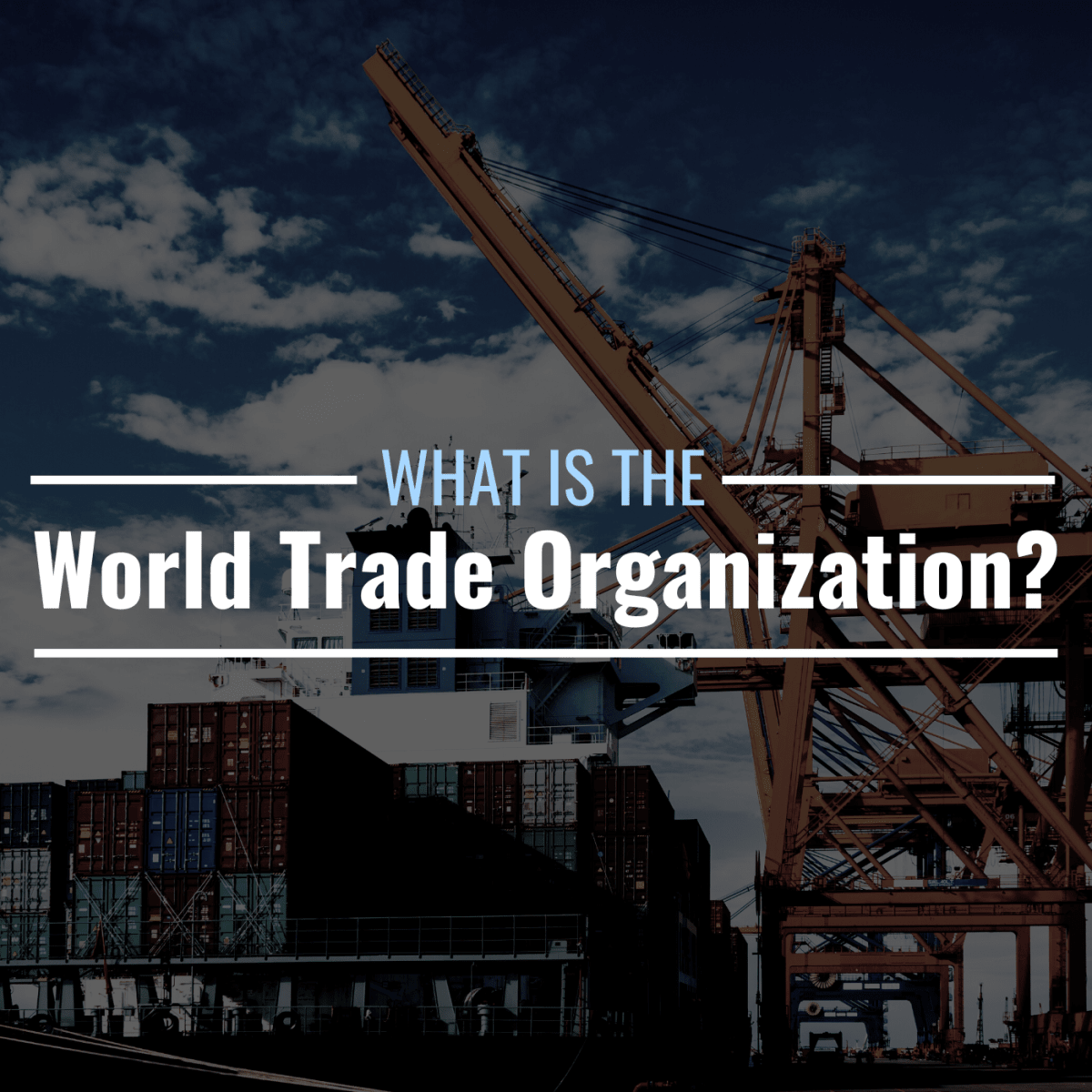 What Is the World Trade Organization? Definition
