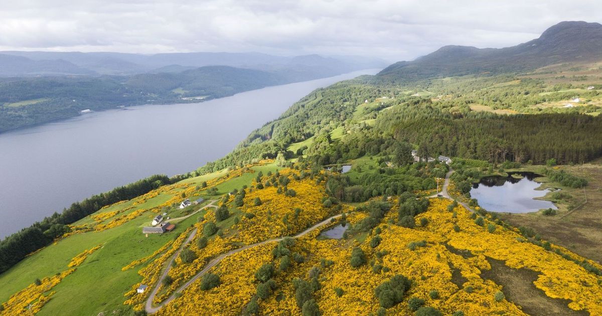 Highlands Rewilding succeeds in Tayvallich Estate…