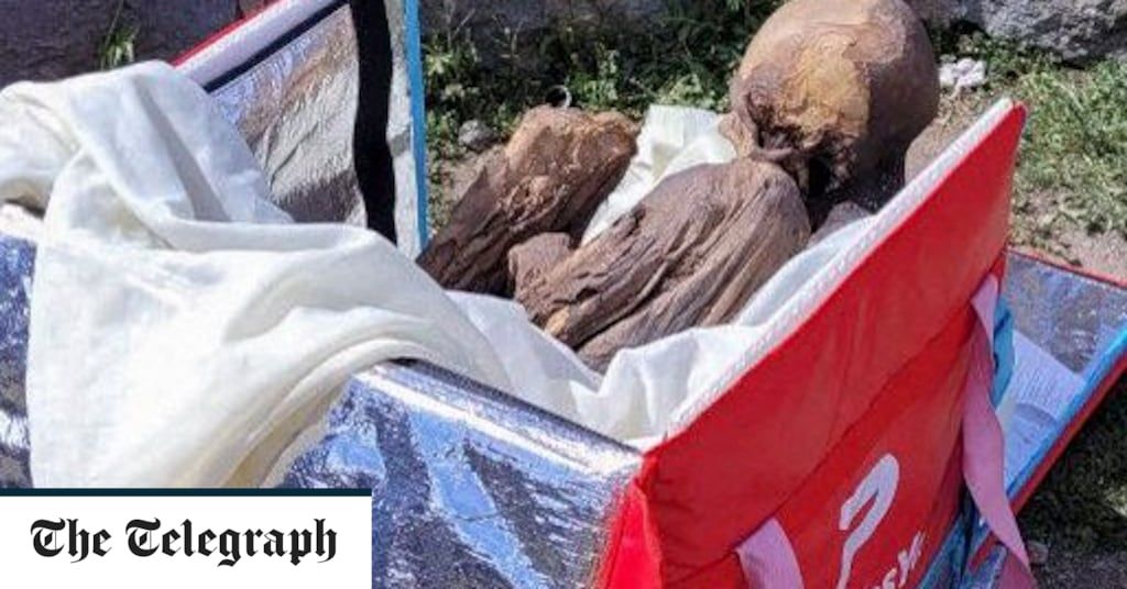 Mummified body kept in food bag is my ‘spiritual…