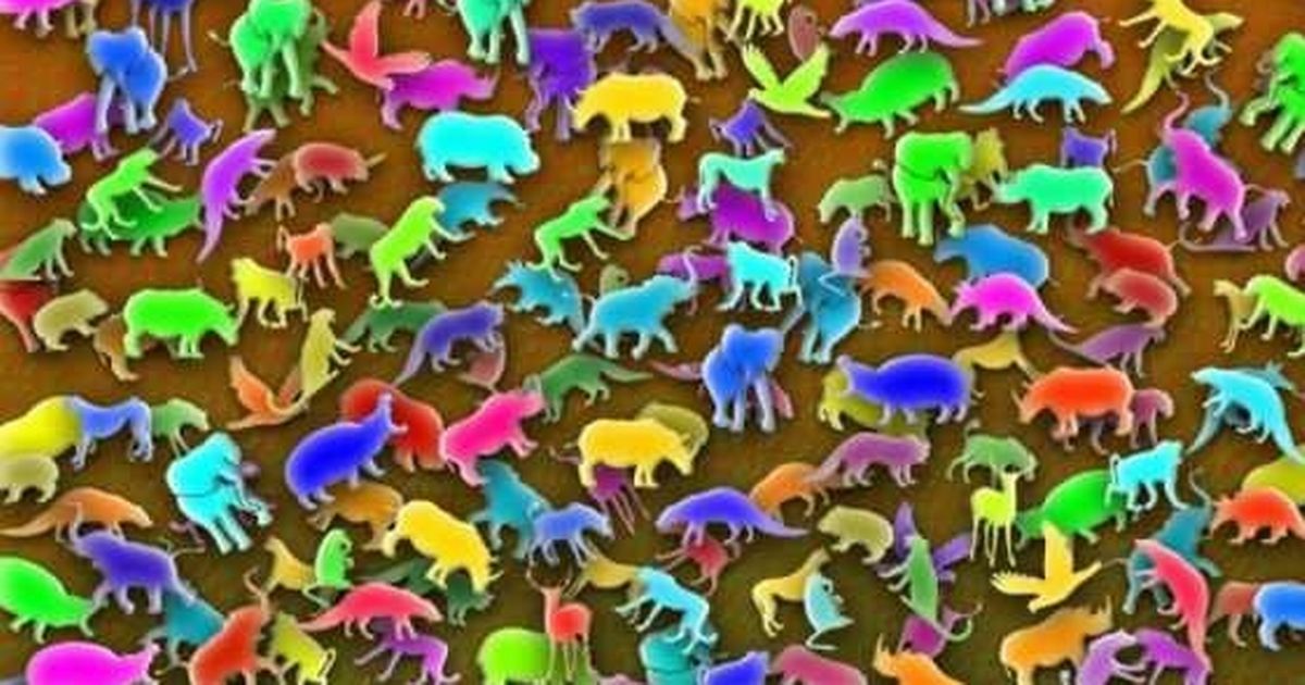 Only people with 'extraordinary intelligence' can spot…