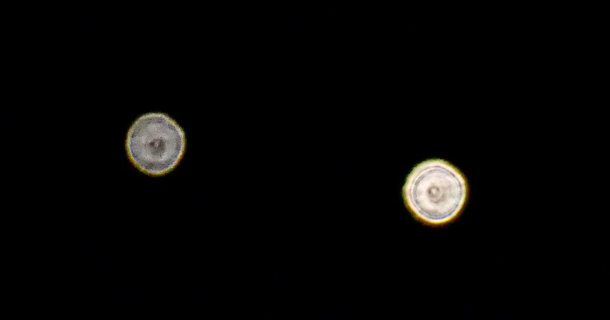 Jupiter and Venus appear to 'kiss' in the sky in rare…