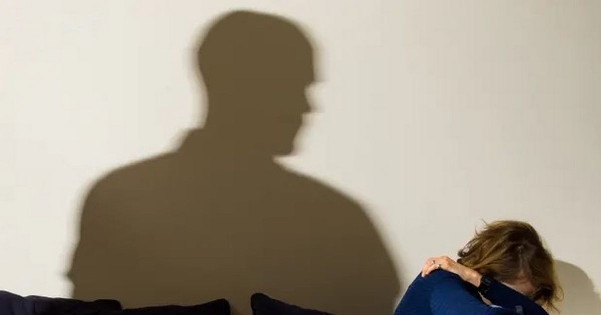 Domestic abuser assaulted partner in Lanarkshire…