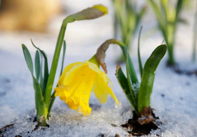 5 Things To Know About The Spring Weather Forecast In…