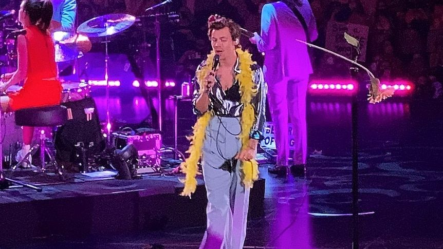 Why Harry Styles' penchant for feather boas concerns…