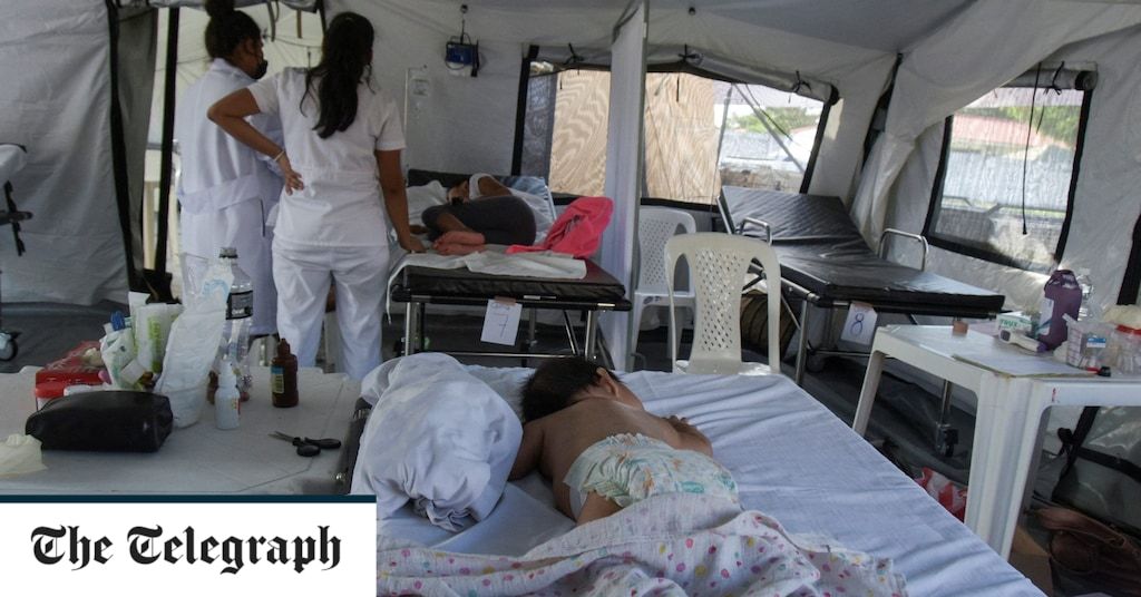What is driving Bolivia’s worst dengue crisis in 25…