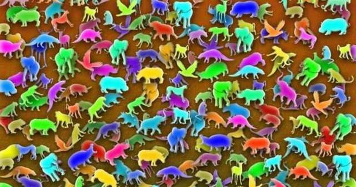 You're of 'extraordinary intelligence' if you can spot…