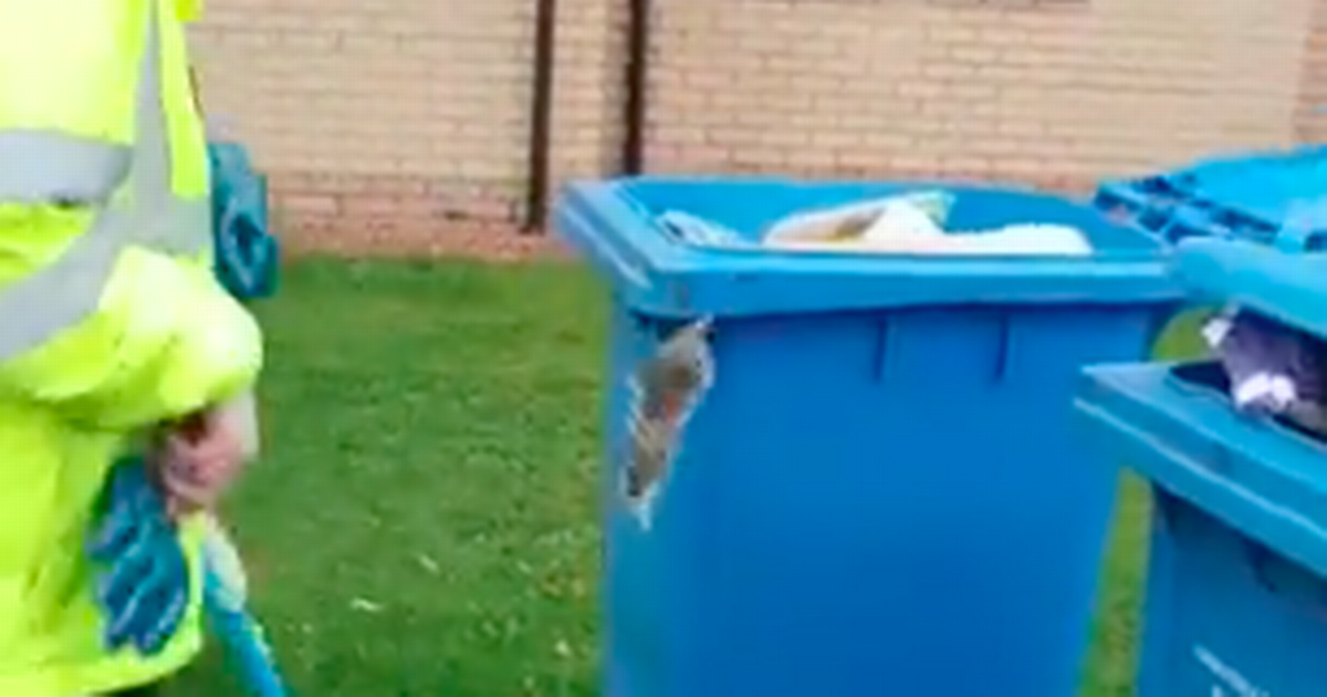 Glasgow binmen jump to avoid rats leaping from bins…