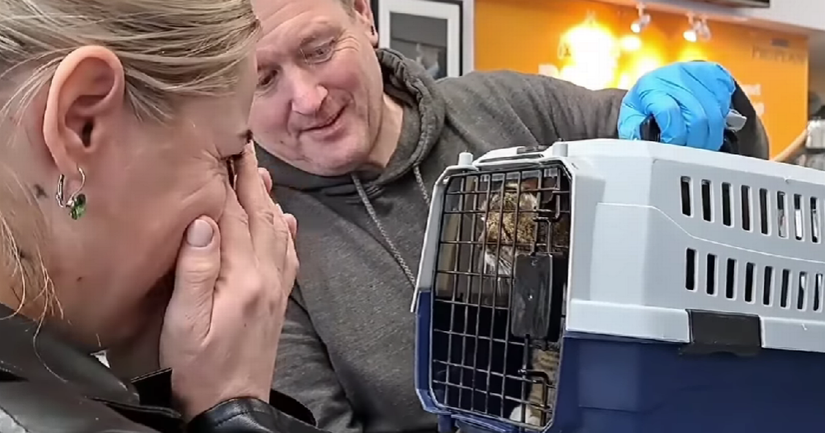 DSCPA reunite beloved cat with owner four years on…