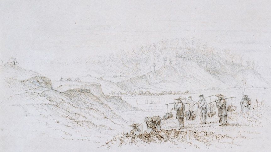Chinese gold miners' historic 500km trek from Robe to…