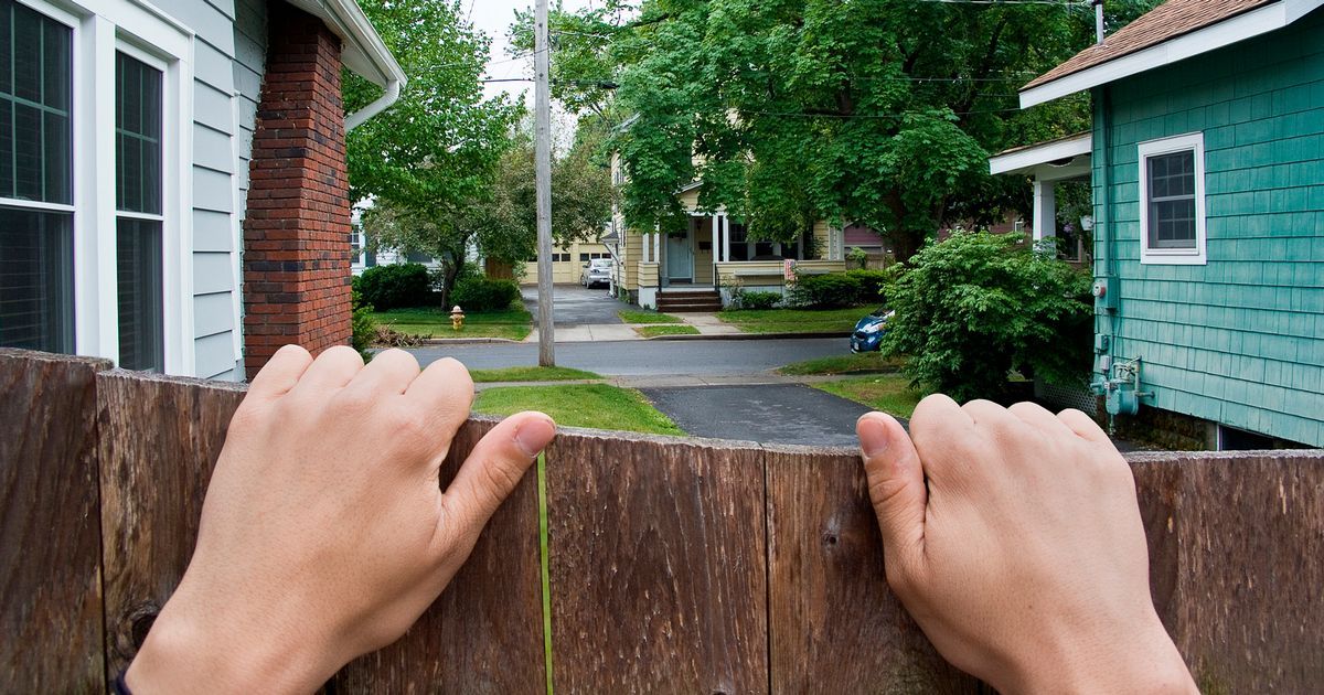 'I want to put a fence up to stop my neighbour staring…