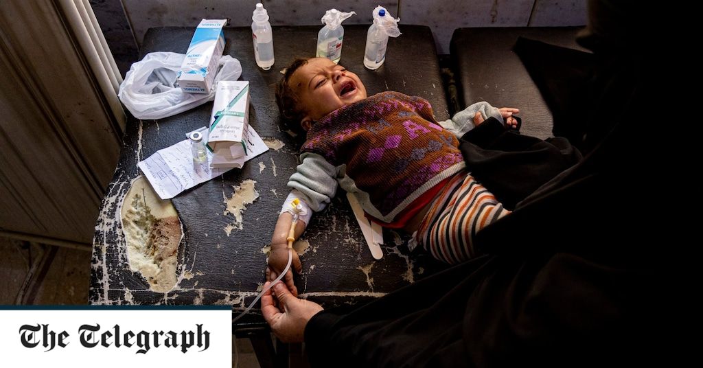 World faces largest surge in cholera for 20 years