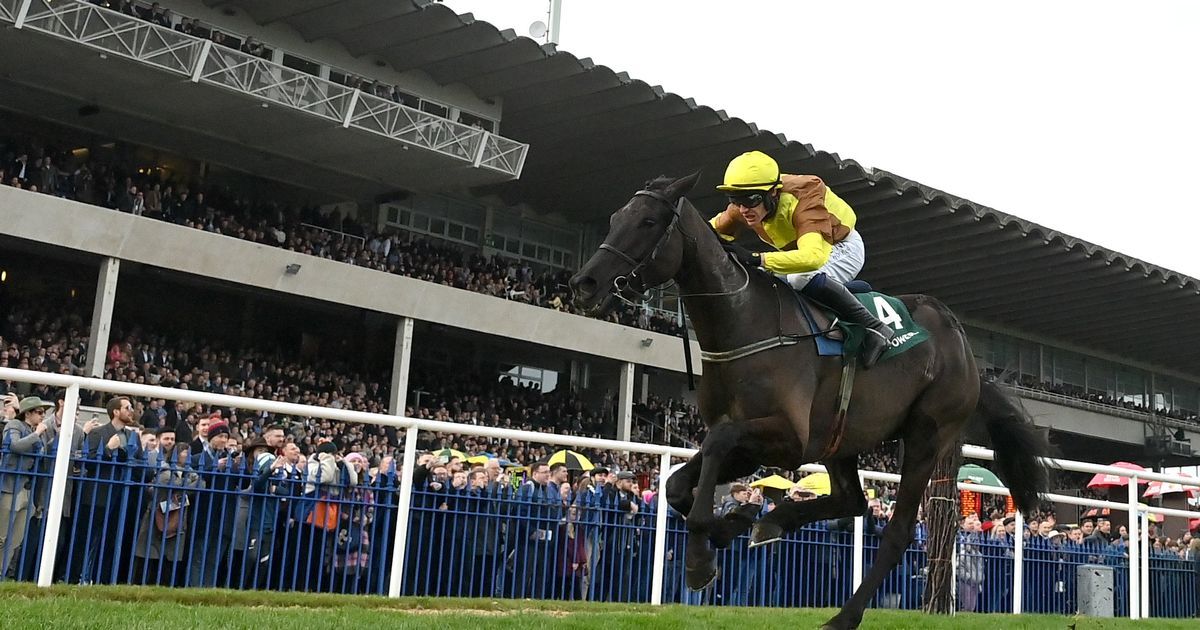 Top ten most popular horses revealed by bookies ahead…