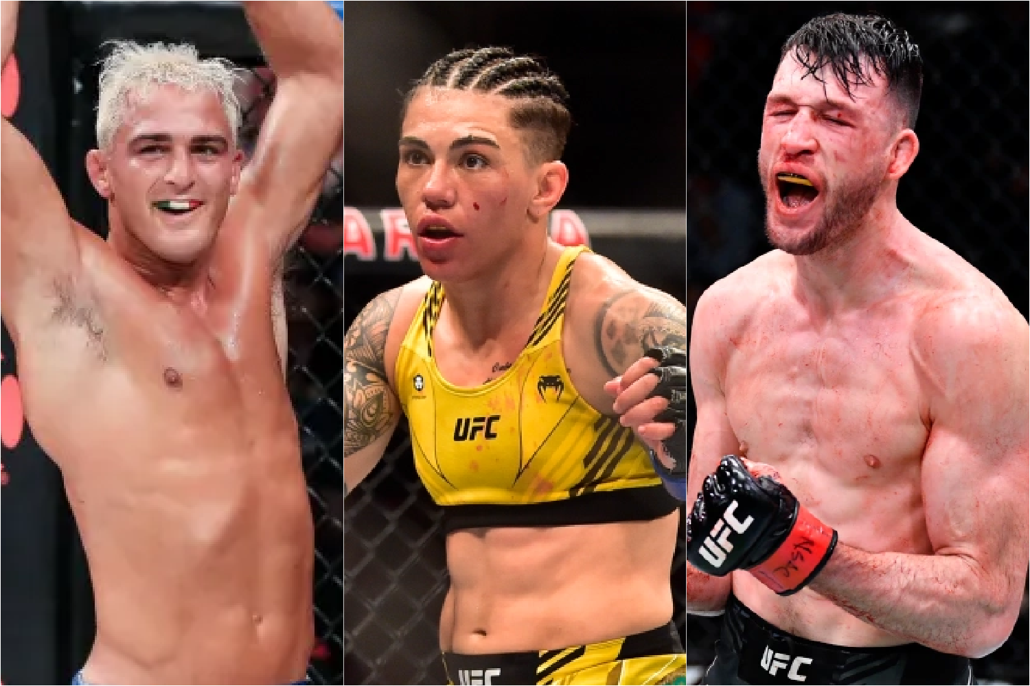 The Latest Breaking News on Matchup Roundup: New UFC and Bellator ...