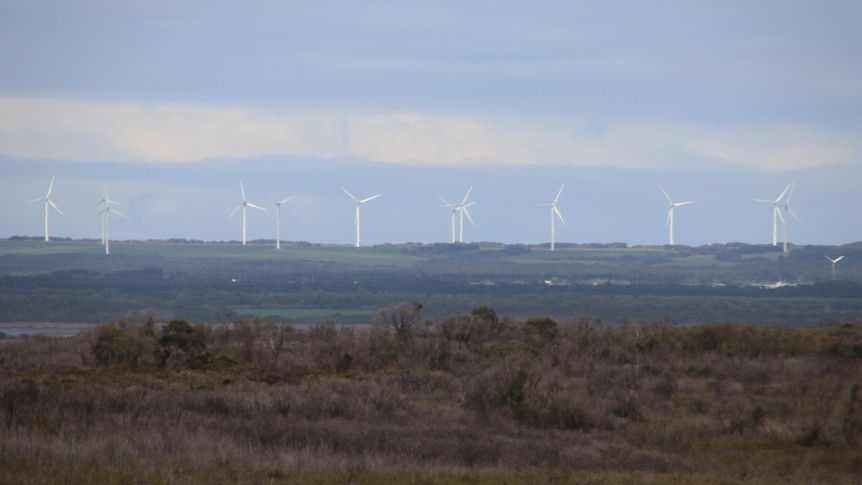 EPA appeals for and against Robbins Island wind farm…