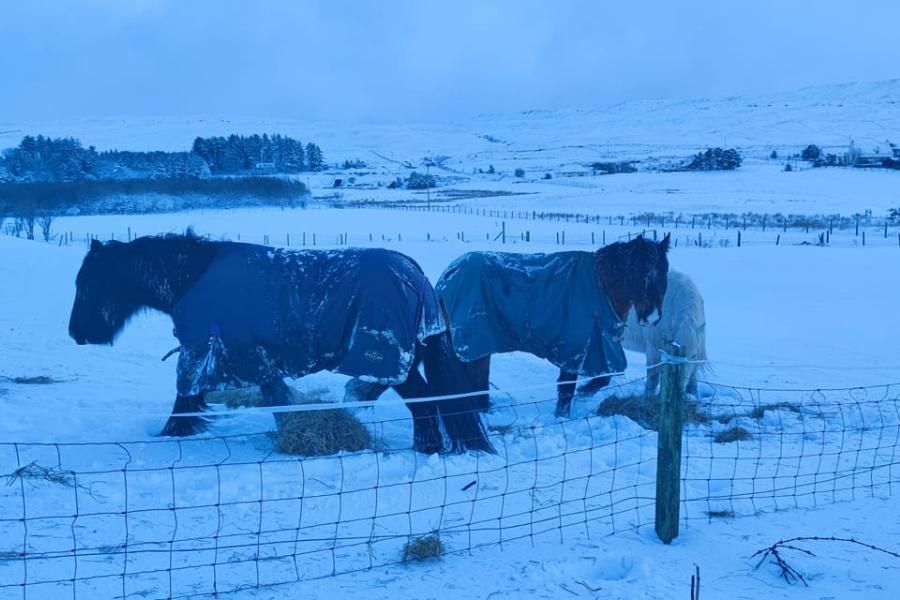 Stunning photos show snowfall across Scotland as cold…