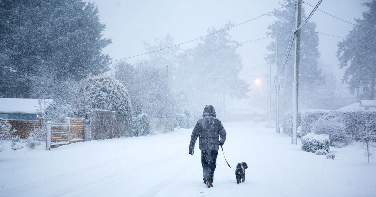 Edinburgh dog owners issued warning from SSPCA as…