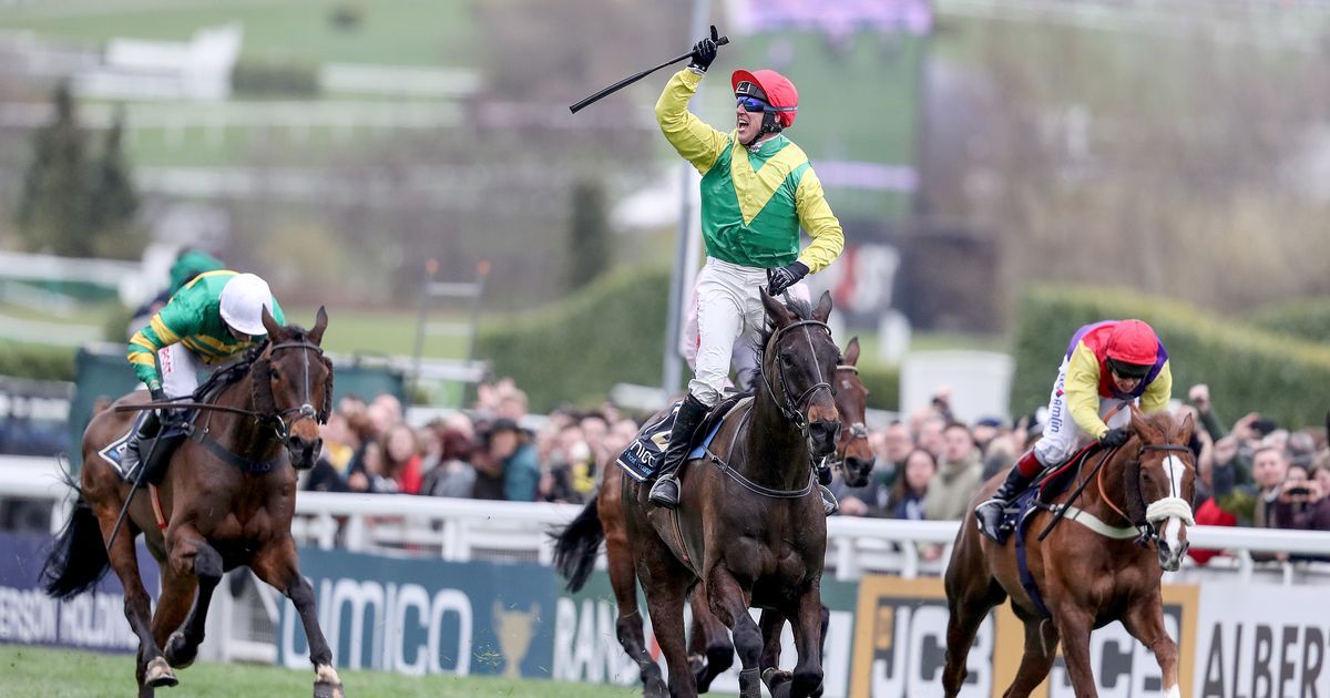 Cheltenham Festival 2023: Robbie Power on the…