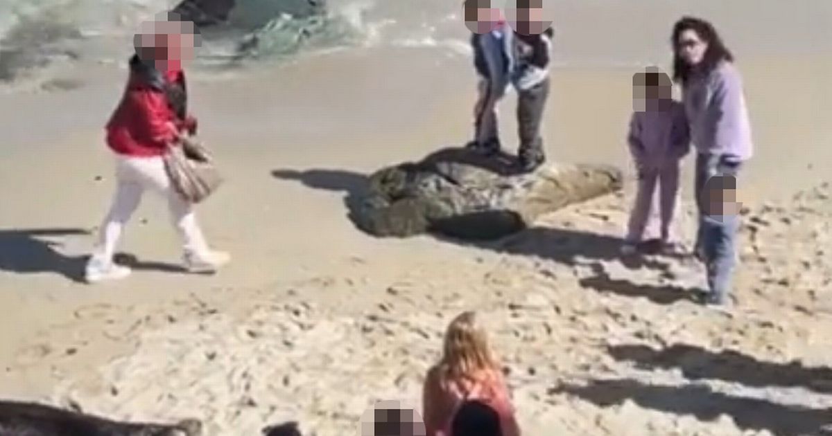 Little girl kicked out of California beach after…