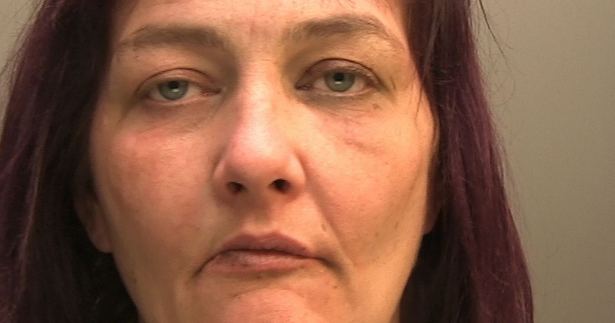 Drug addict who ate hamster after cutting pet in half…