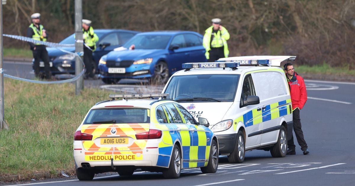 Police issue updated statement on Cardiff crash that…