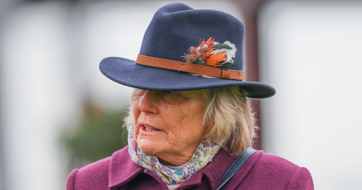 Leading horse racing trainer Jessica Harrington opens…