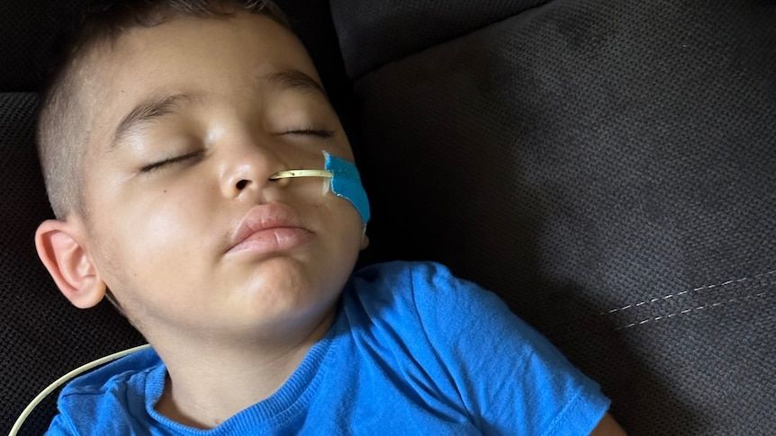 Mateoh Eggleton's family told lifesaving bone marrow…