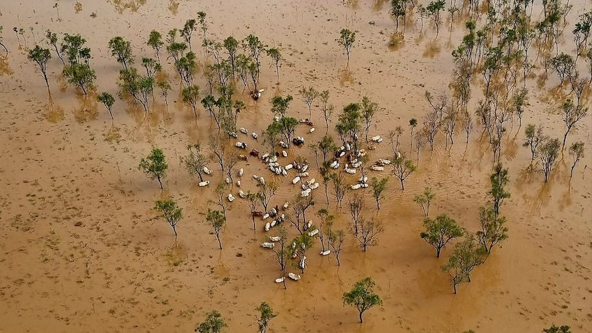 Stunning vision shows scale of outback floodwater…