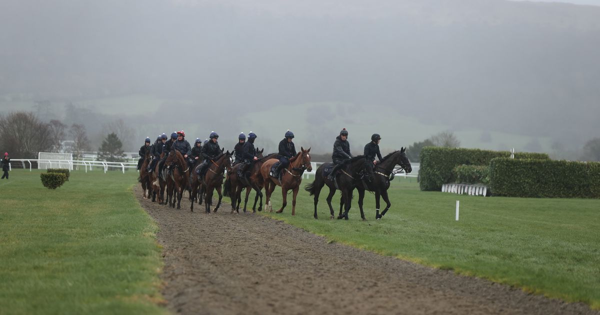 Cheltenham Festival 2023 day 1 full race card and tips…