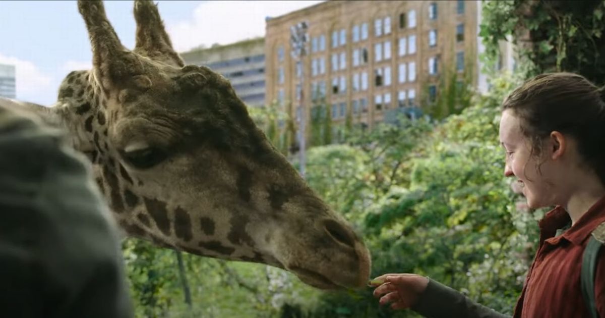 Is the The Last of Us giraffe real in HBO season…