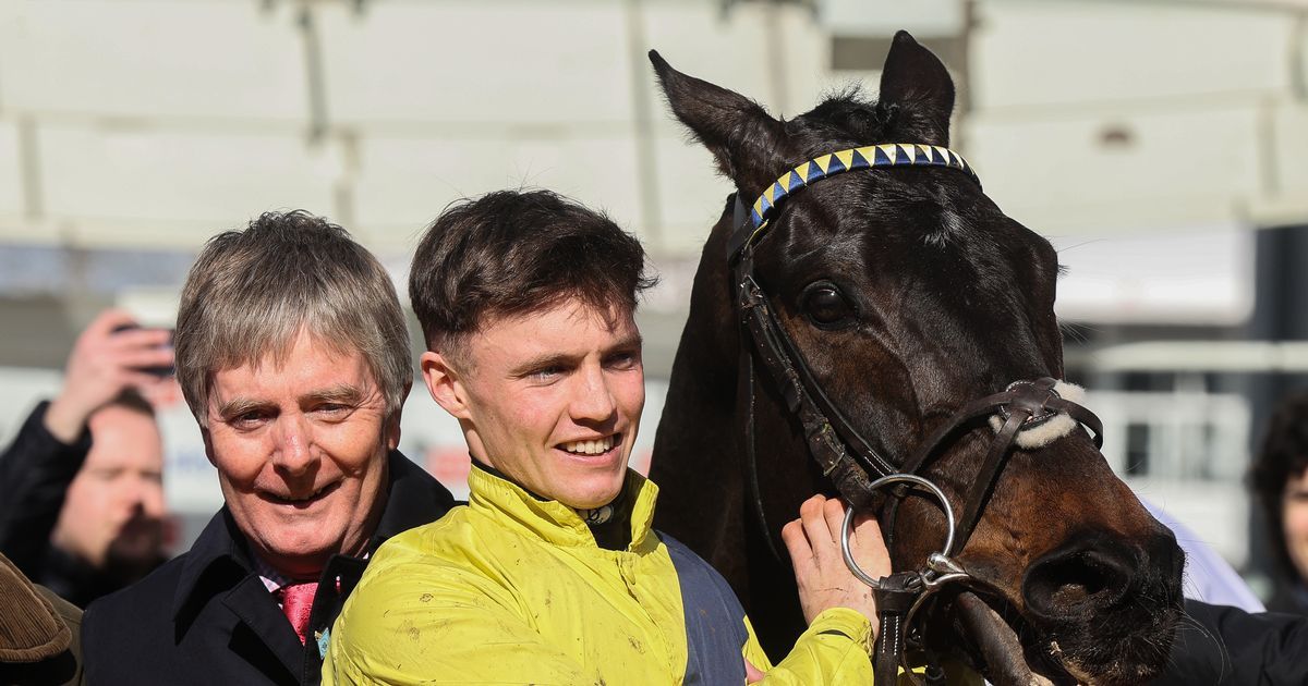 Marine Nationale downs Facile Vega in Novices' Hurdle