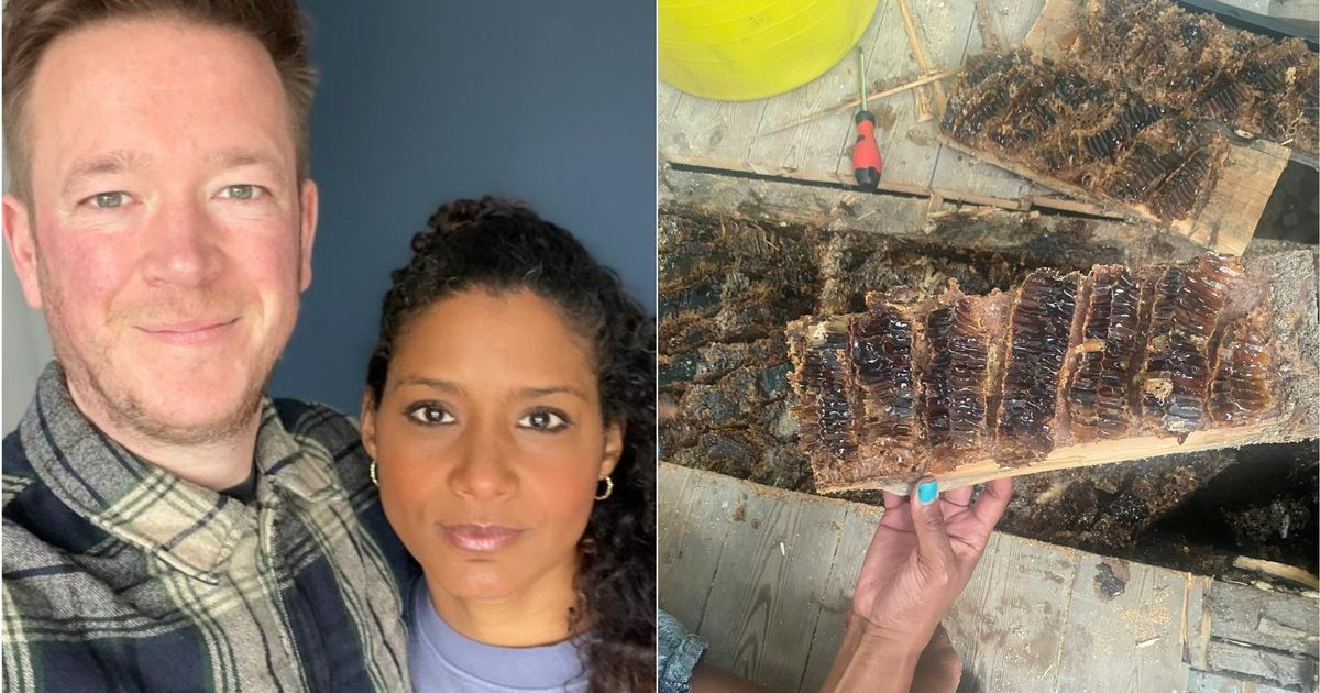 Couple discover huge beehive hidden inside their home…