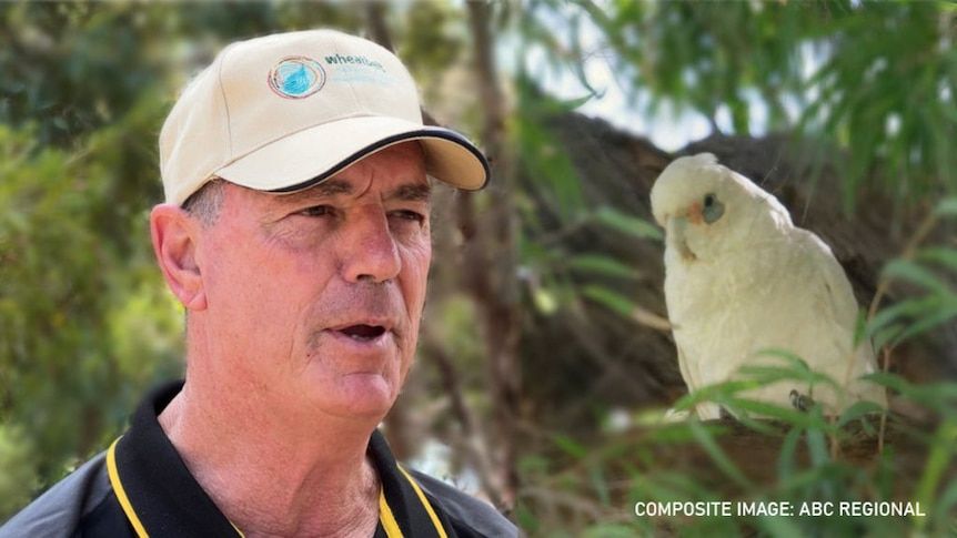 Ex-WA police comissioner Karl O'Callaghan to help…