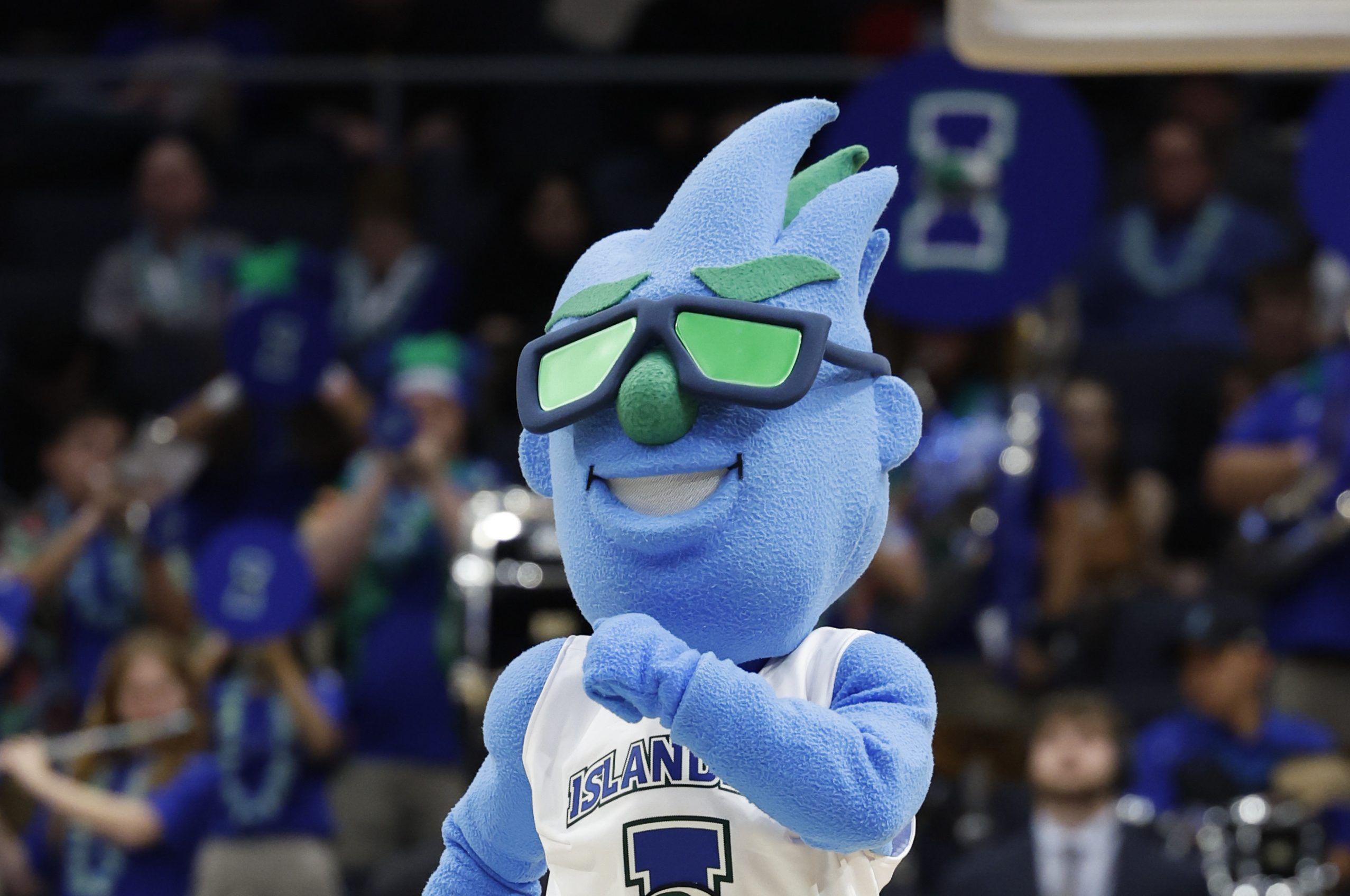 The Texas A&M-Corpus Christi Islander is actually the…