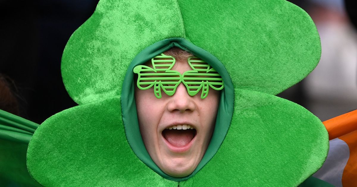 Irish Shamrock history and how they became lucky