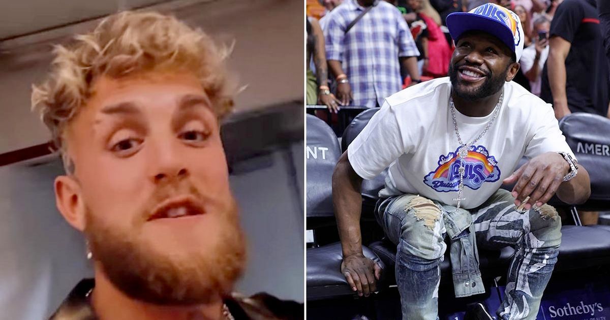 Jake Paul explains why he ran from Floyd Mayweather… Jake Paul explains why he ran from Floyd Mayweather…