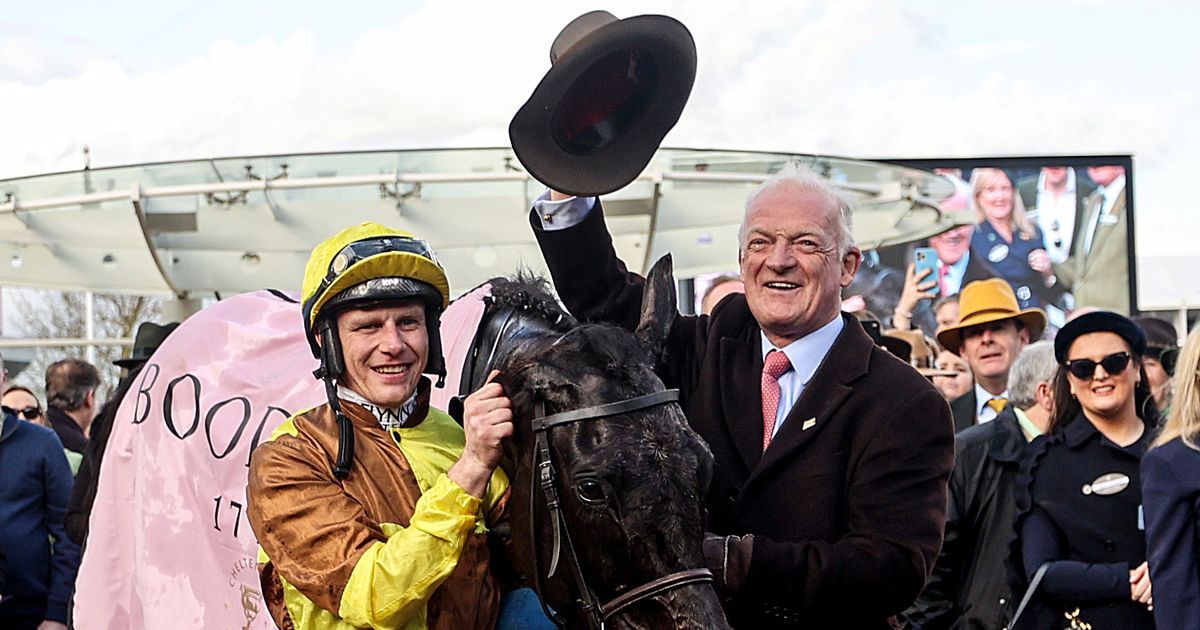 Cheltenham Festival 2023: How many Irish winners were…